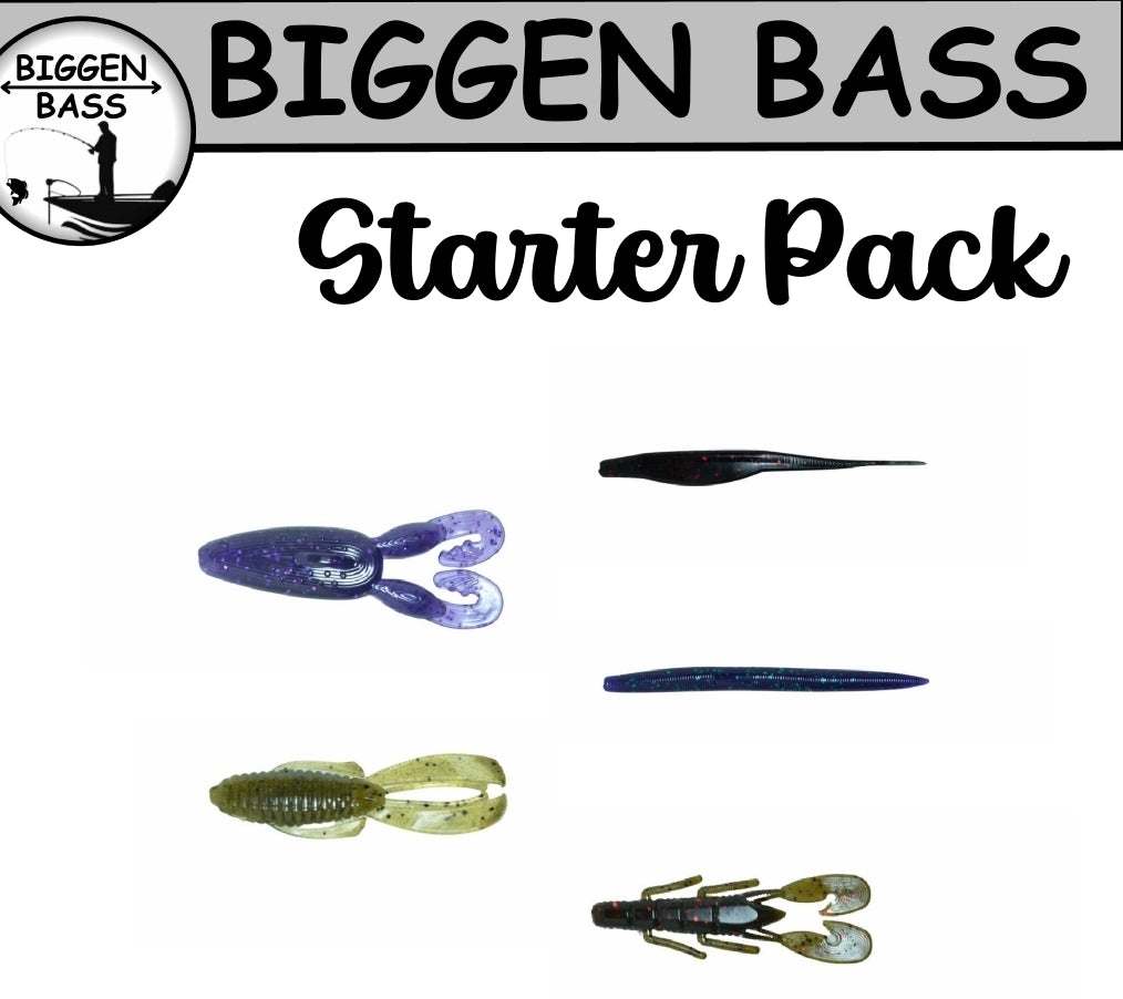 BIGGEN BASS STARTER PACK 1 VIOLET SHIMMER – All Out Angling